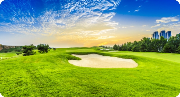 Premium Golf Club Rentals - Prosets Premium Golf Club Rentals